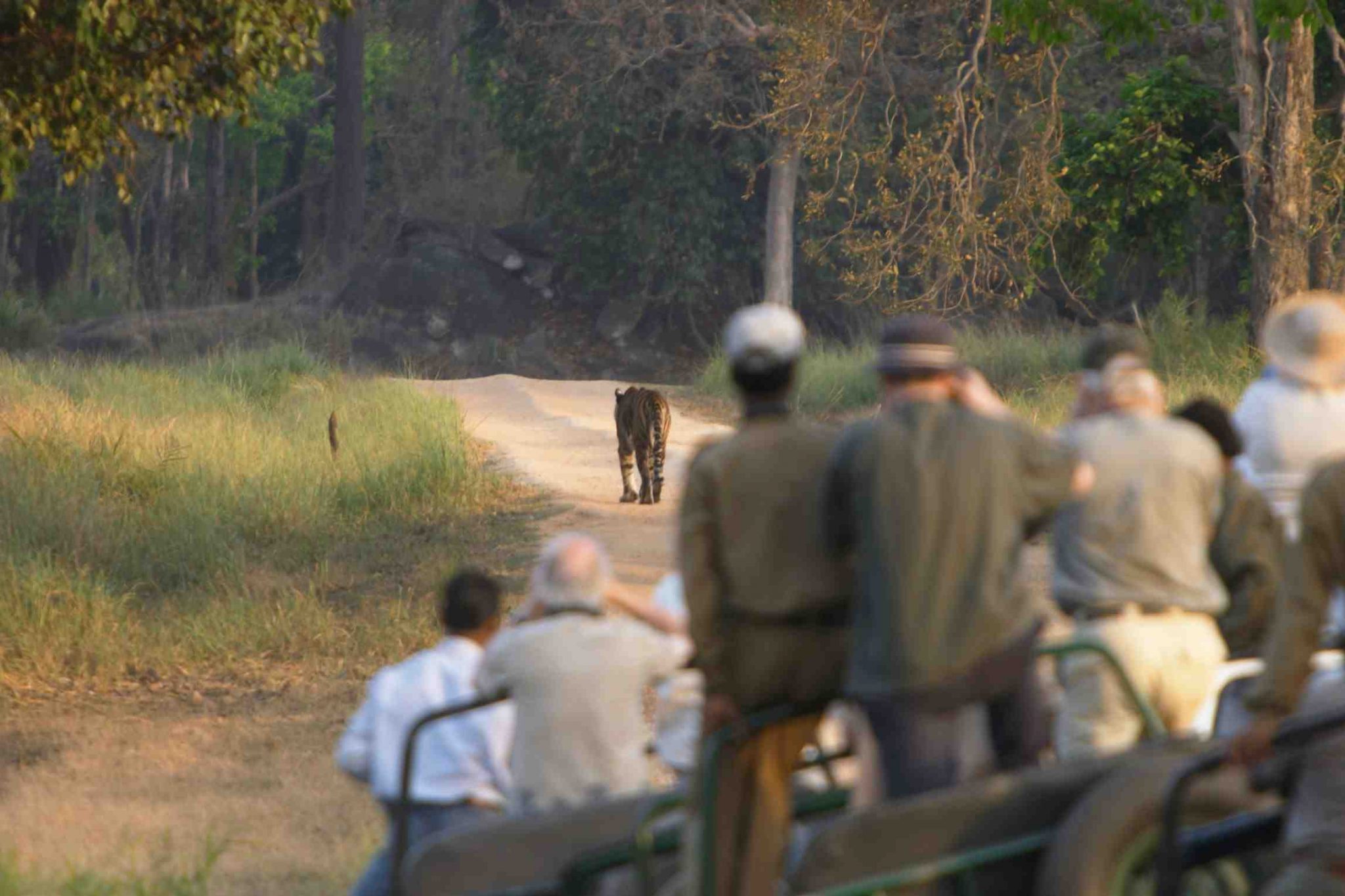 Popular Gates of Kanha National Park